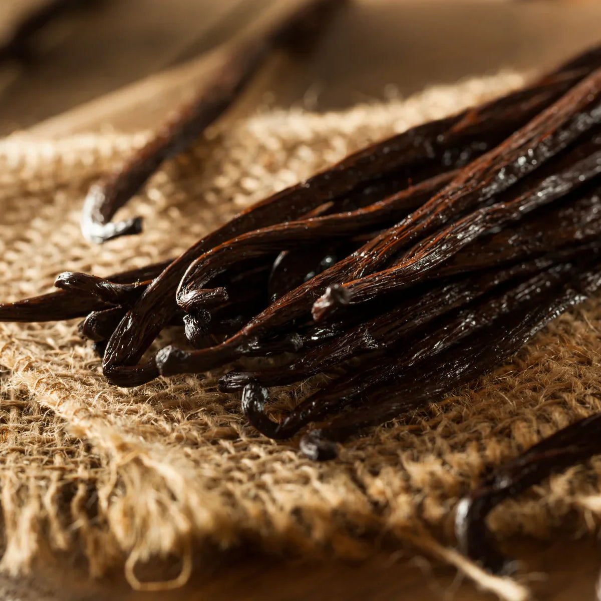 Unveiling the Magic of Organic Vanilla CO2 – Esas Beauty