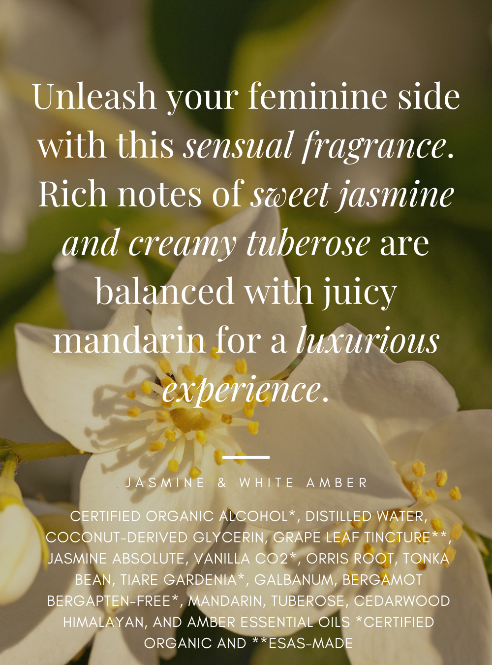 Scent Discovery Set – Esas Beauty