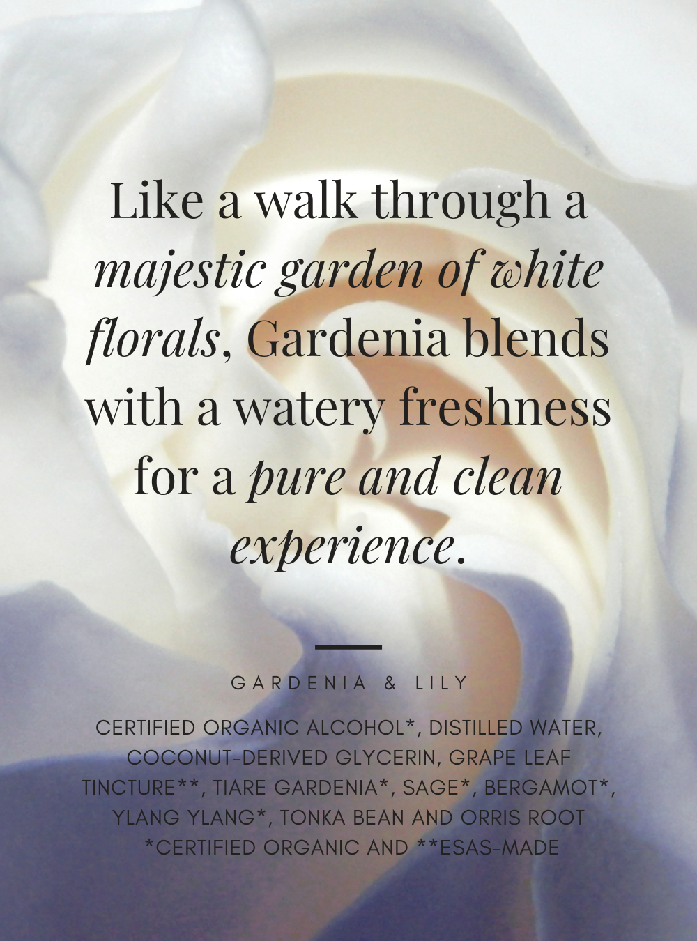 Scent Discovery Set – Esas Beauty