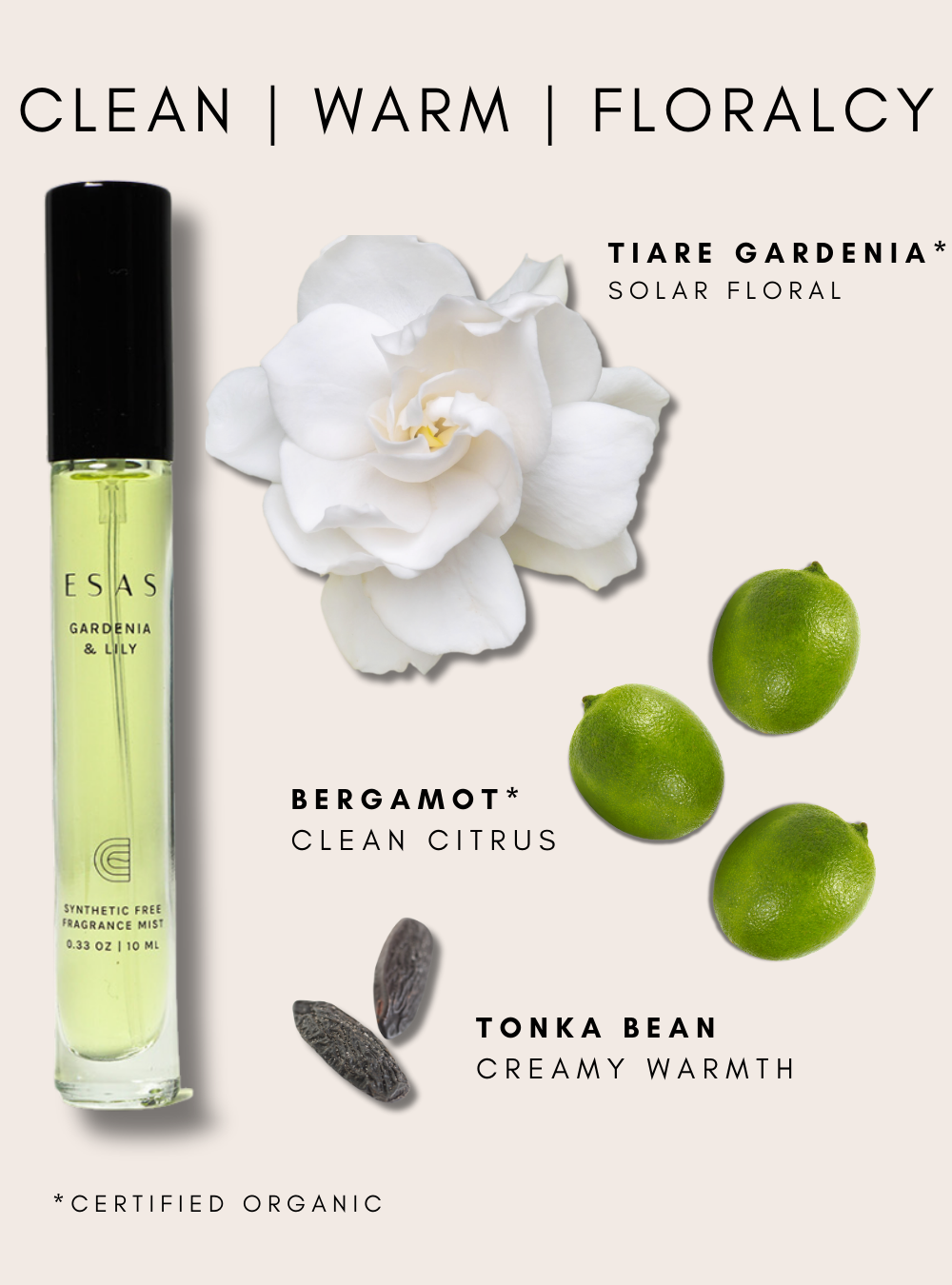 Scent Discovery Set – Esas Beauty