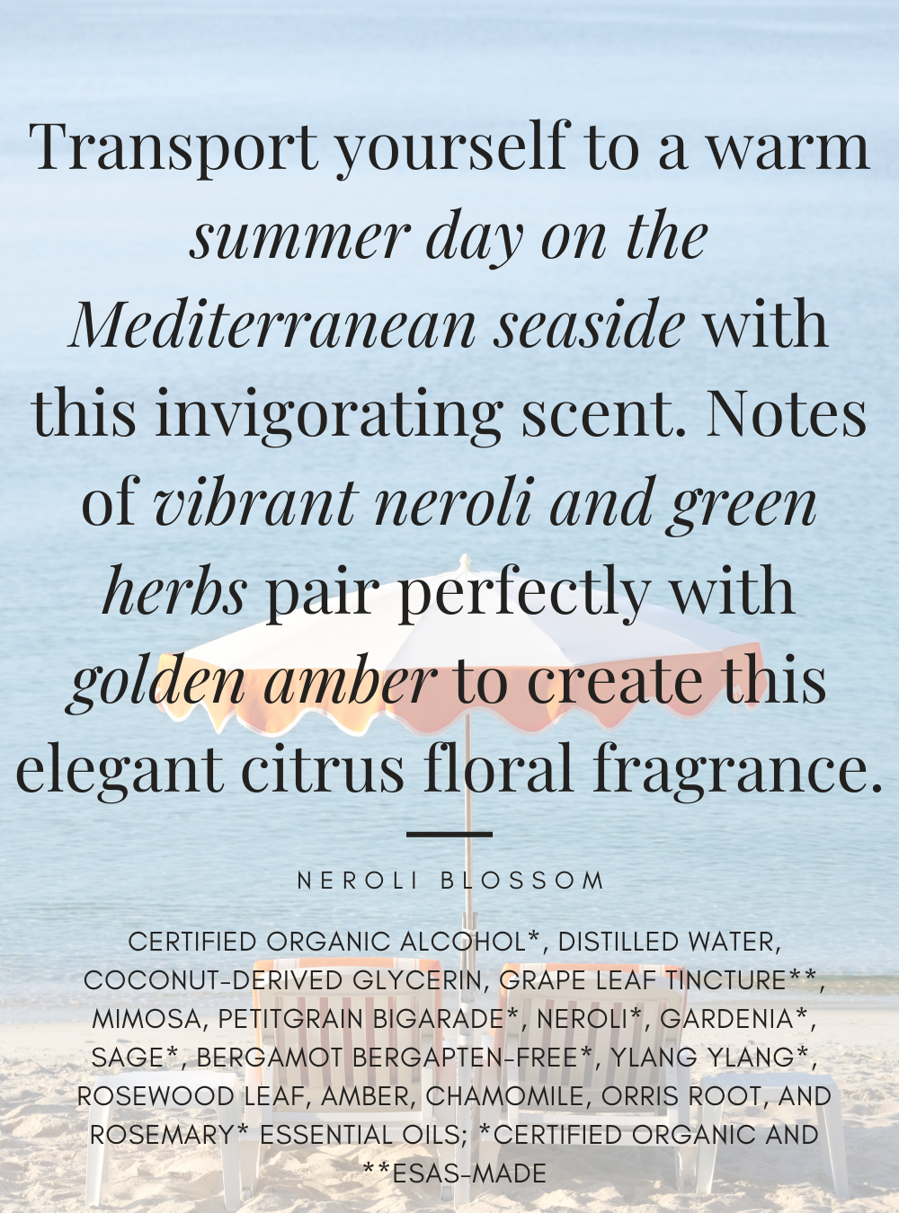 Scent Discovery Set – Esas Beauty